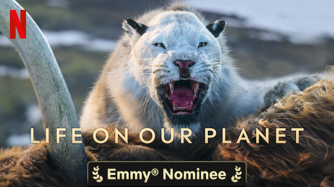 Is 'Life on Our Planet' on Netflix? Where to Watch the Documentary ...